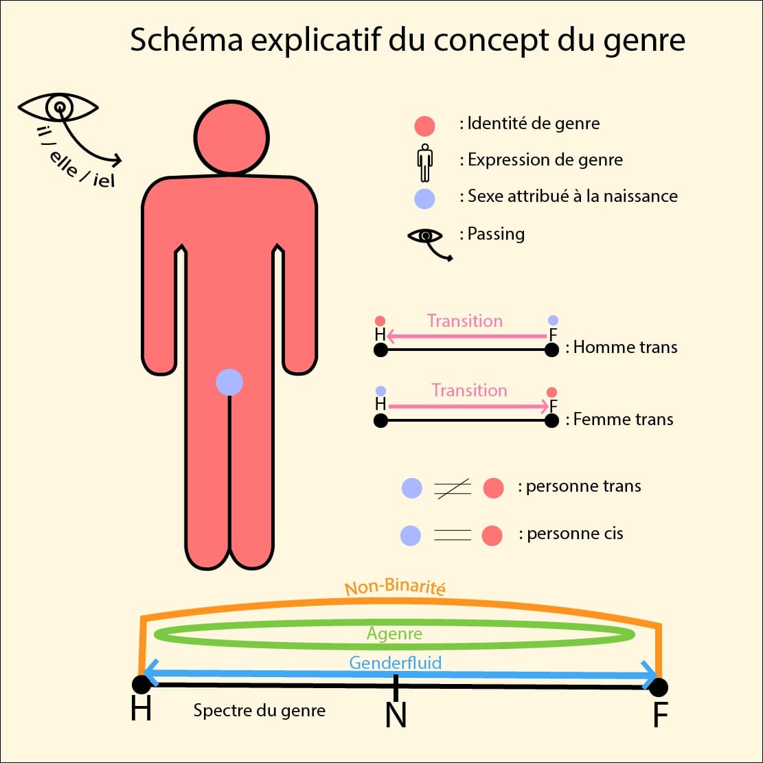 C’est quoi être trans ? Mieux comprendre la transidentité