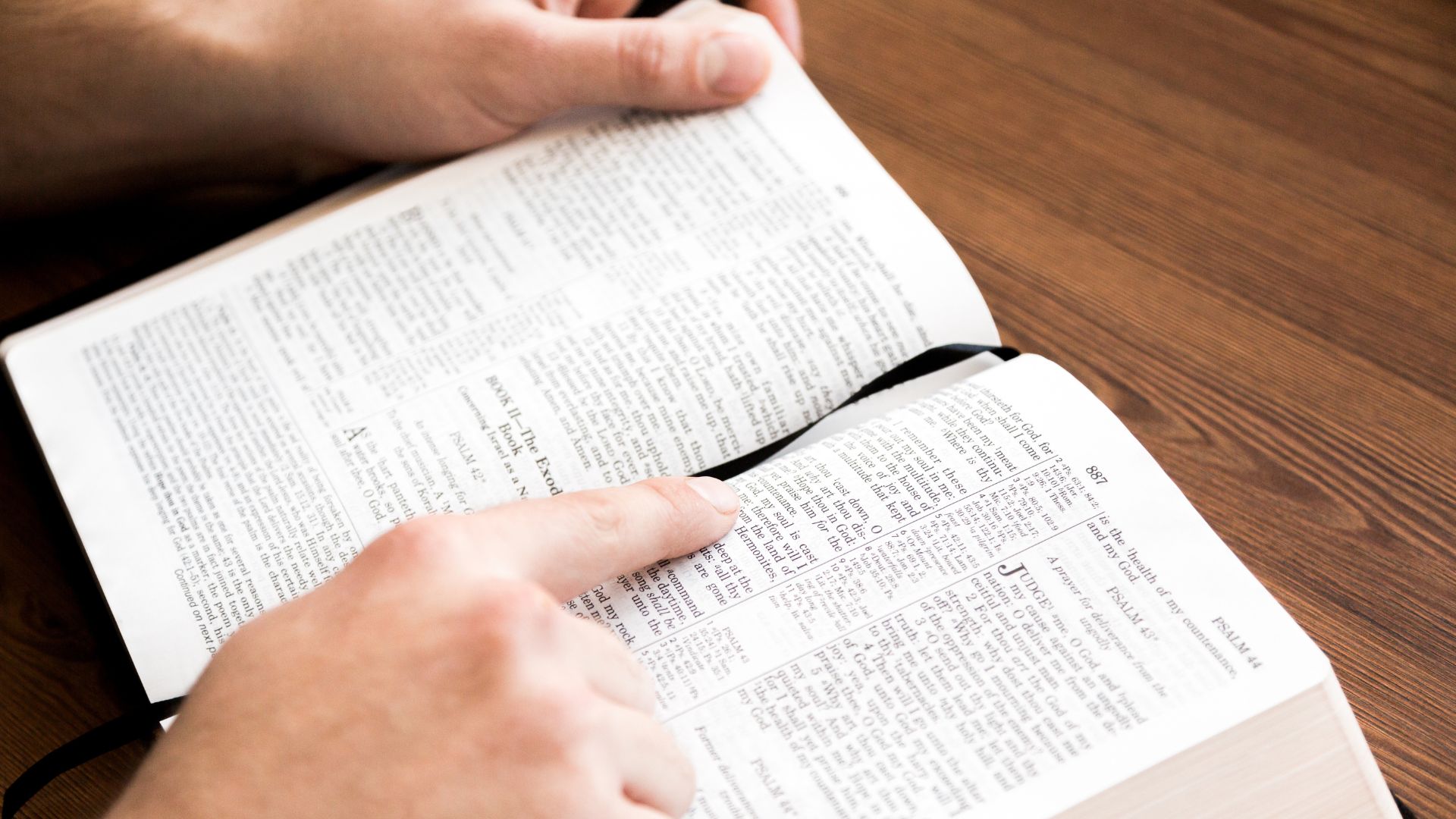 Que signifie homoflexible ? Définition complète - Pheros